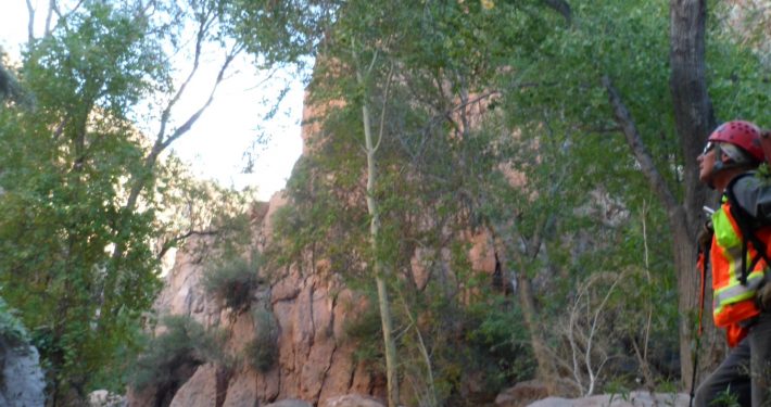 Careers - Quantec Geoscience