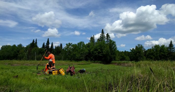 Careers - Quantec Geoscience